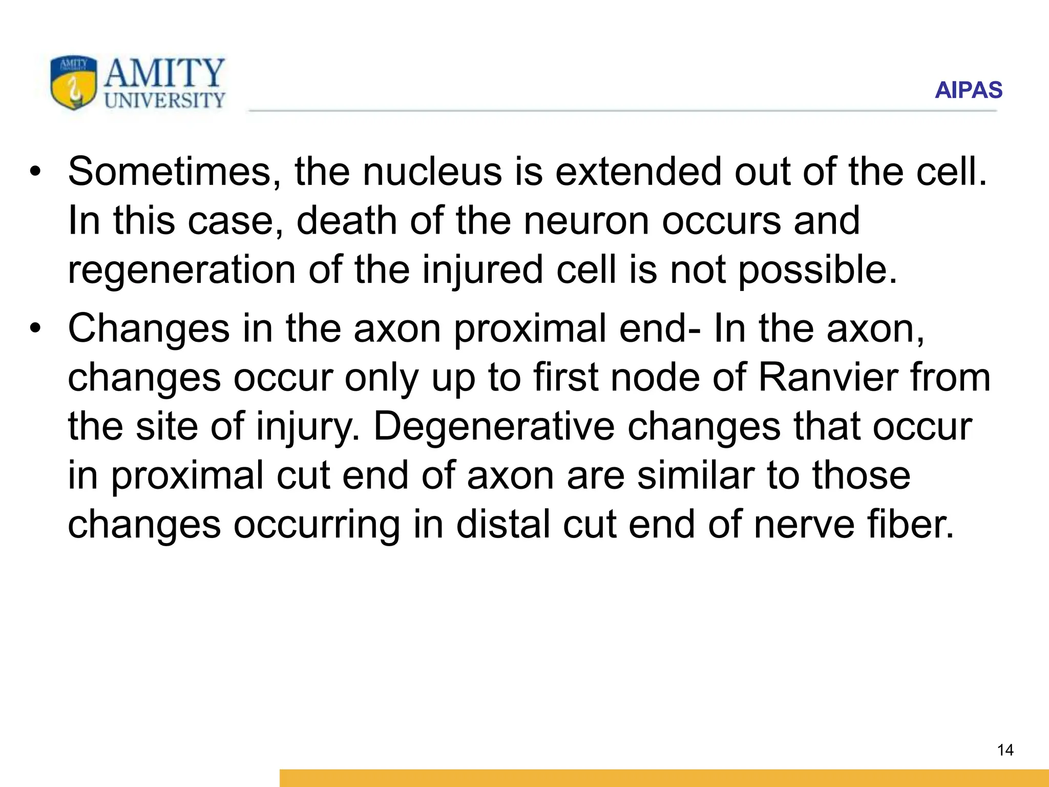 Nerve injury (1).ppt nerve neurophysiology | PPT