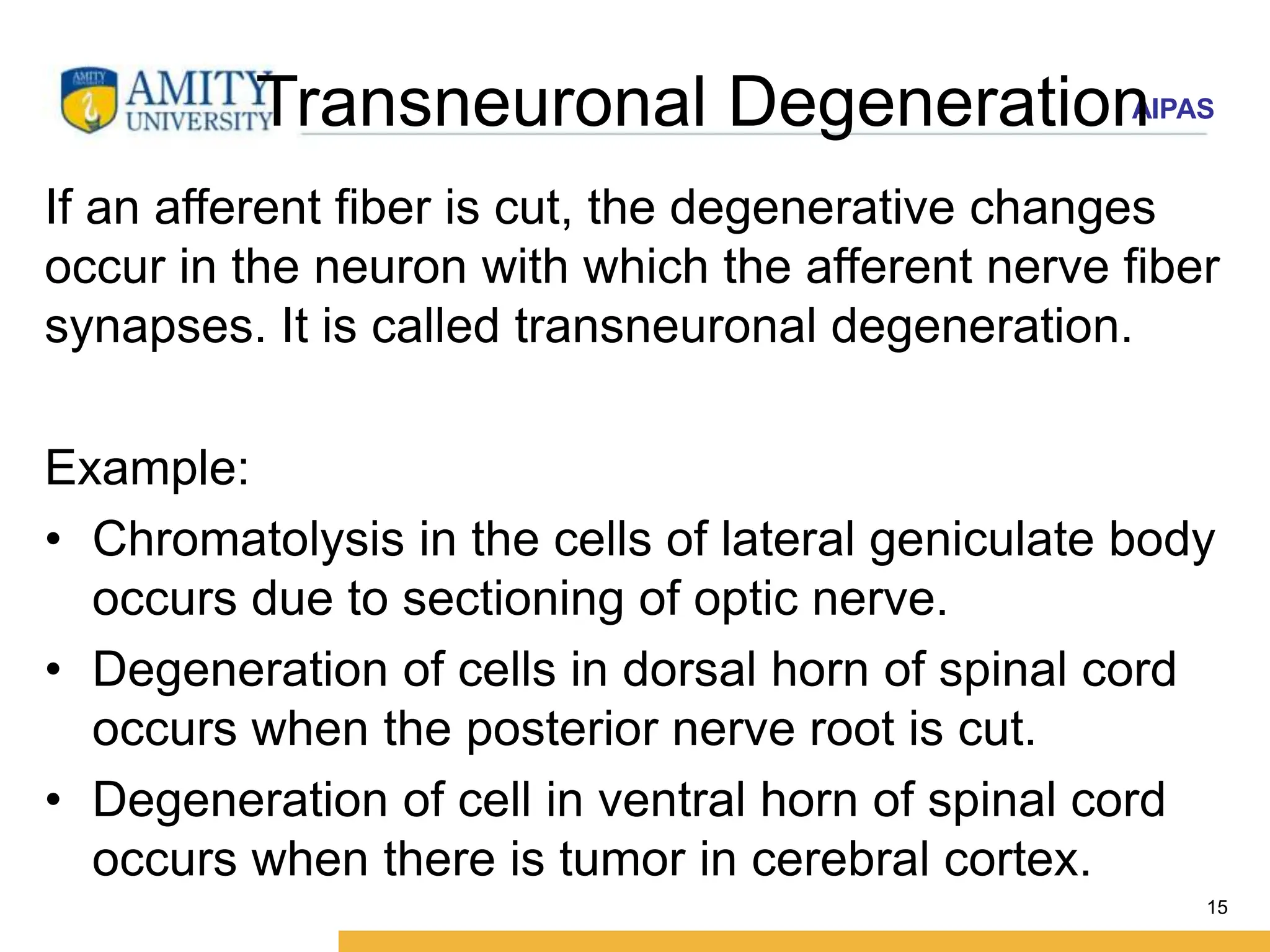 Nerve injury (1).ppt nerve neurophysiology | PPT