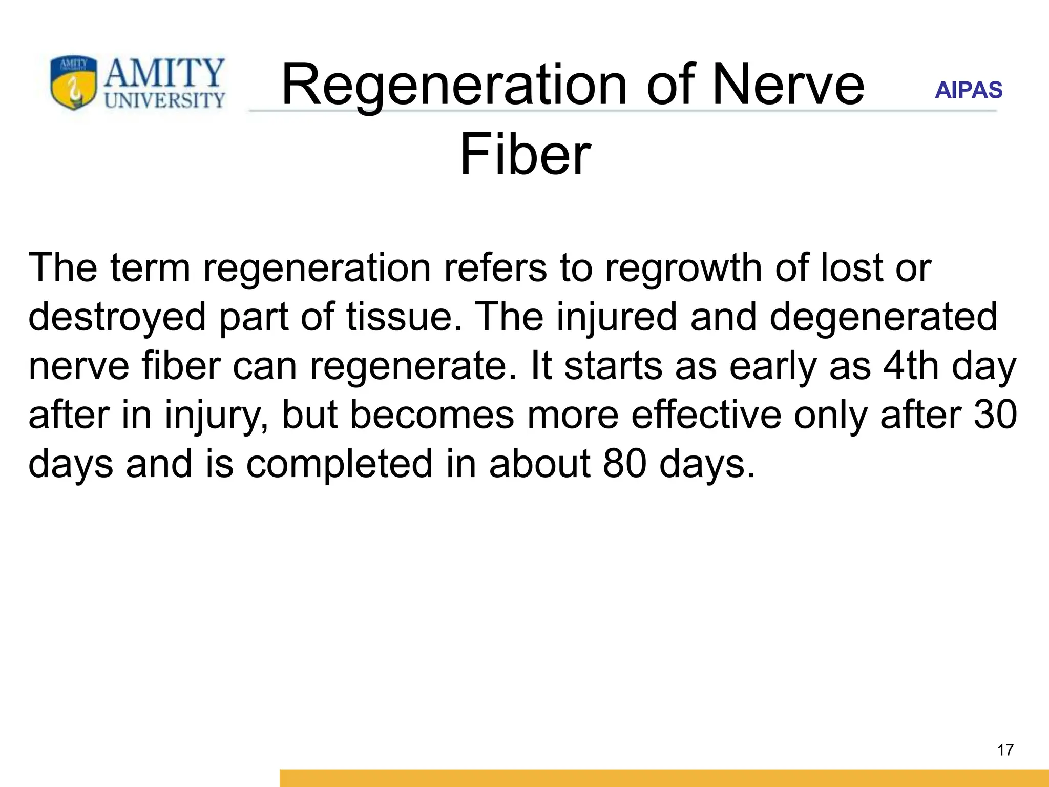Nerve injury (1).ppt nerve neurophysiology | PPT