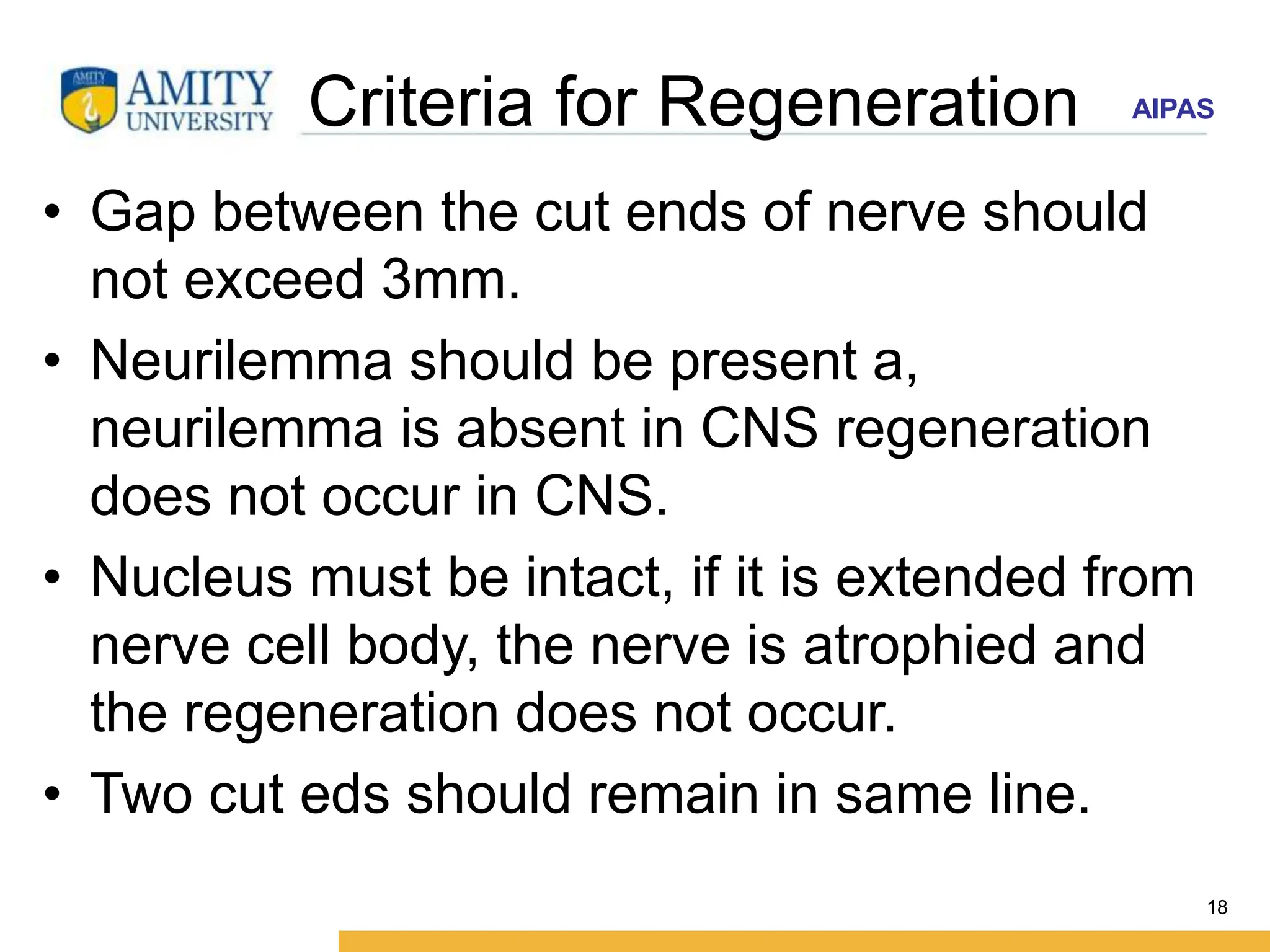Nerve injury (1).ppt nerve neurophysiology | PPT