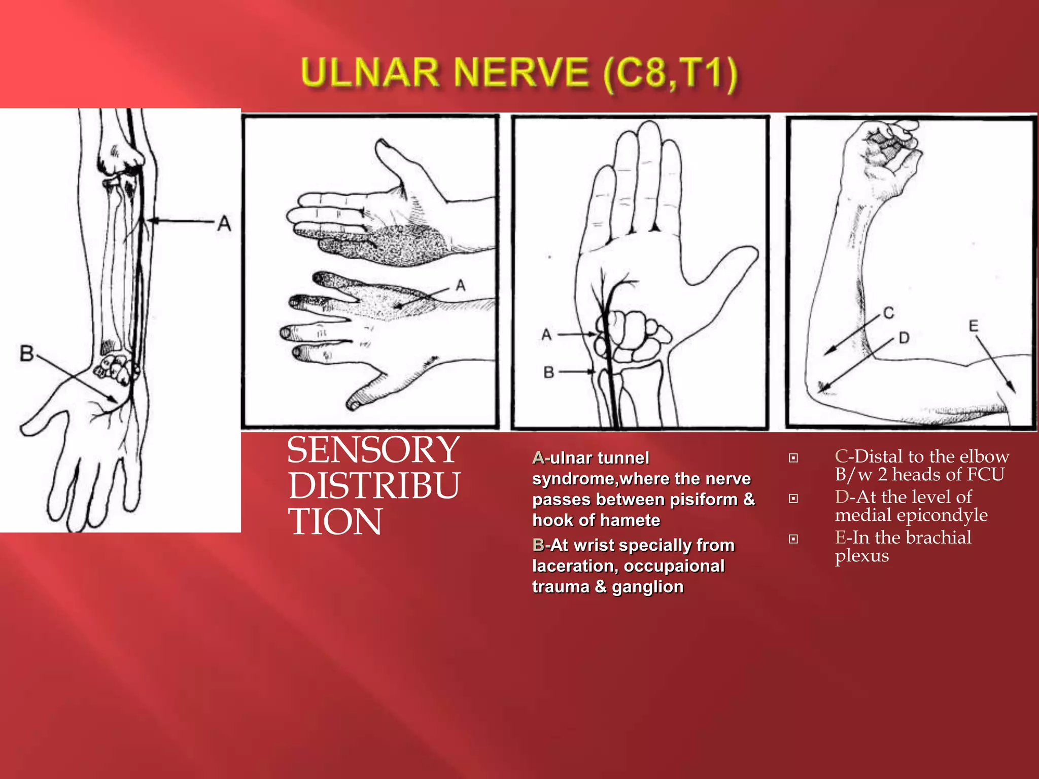 Nerve injury and its treatment | PPTX