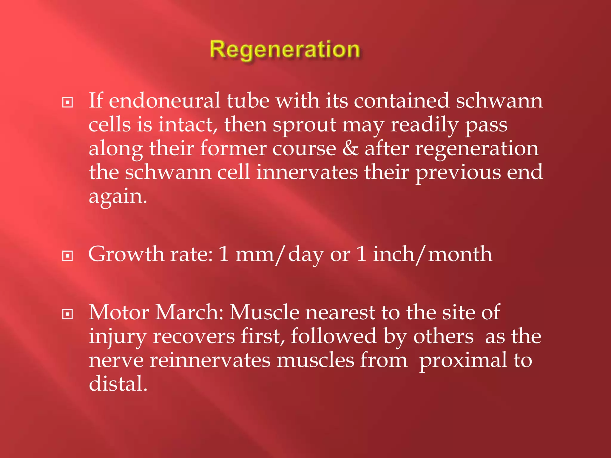 Nerve injury and its treatment | PPTX