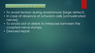 Nerve injury and repair | PPT