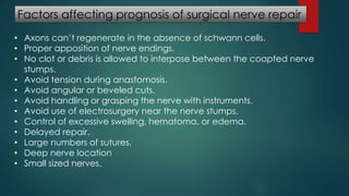 Nerve injury and repair | PPT