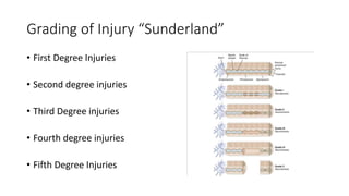 Nerve Injury Degeneration Regeneration.pptx