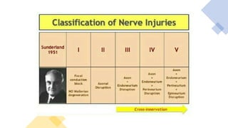 Nerve Injury Degeneration Regeneration.pptx
