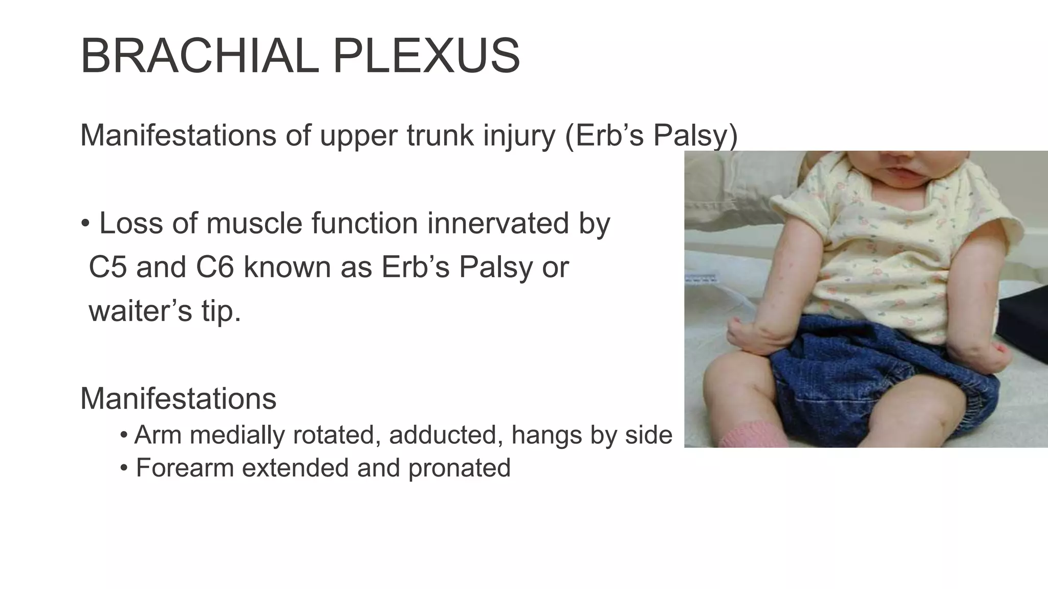 Nerve injury of upper limb | PPTX