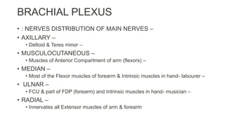 Nerve injury of upper limb | PPTX