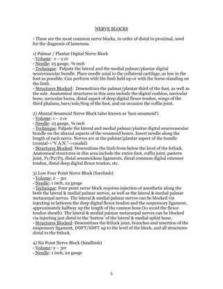 Nerve & Joint Blocks | DOCX