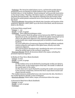Nerve & Joint Blocks | DOCX