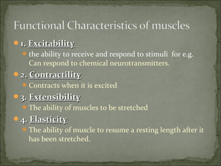 Functional Characteristics Of Muscles