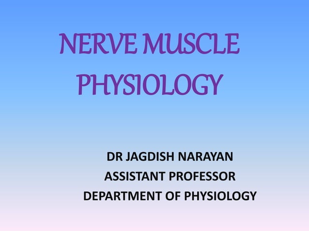 NERVE_MUSCLE_PHYSIOLOGY-Specialized function of neurons – integration ...