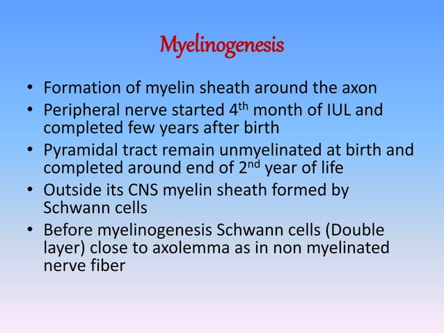 NERVE_MUSCLE_PHYSIOLOGY-Specialized function of neurons – integration ...