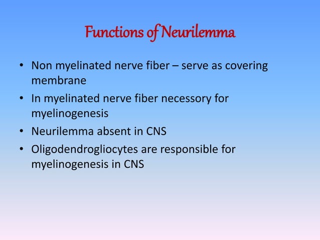 NERVE_MUSCLE_PHYSIOLOGY-Specialized function of neurons – integration ...