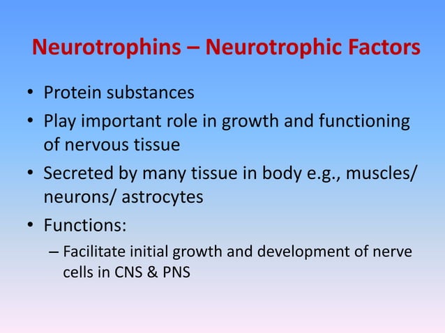 NERVE_MUSCLE_PHYSIOLOGY-Specialized function of neurons – integration ...