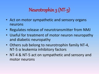 NERVE_MUSCLE_PHYSIOLOGY-Specialized function of neurons – integration ...