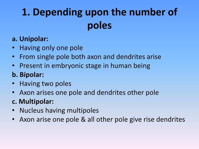 NERVE_MUSCLE_PHYSIOLOGY-Specialized function of neurons – integration ...