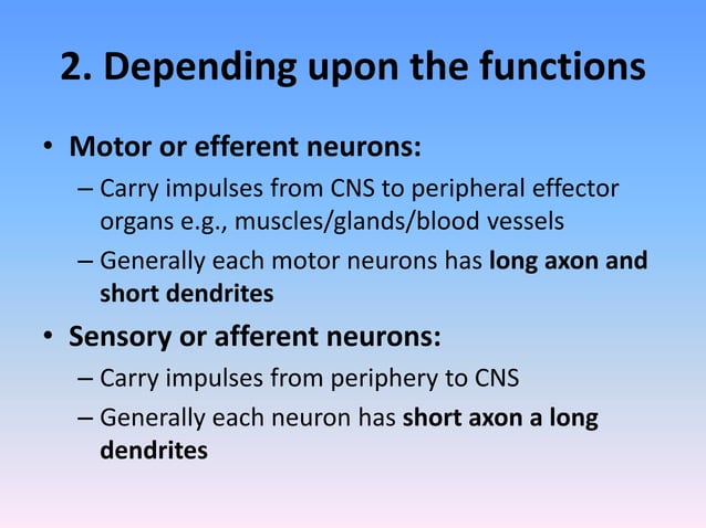 NERVE_MUSCLE_PHYSIOLOGY-Specialized function of neurons – integration ...
