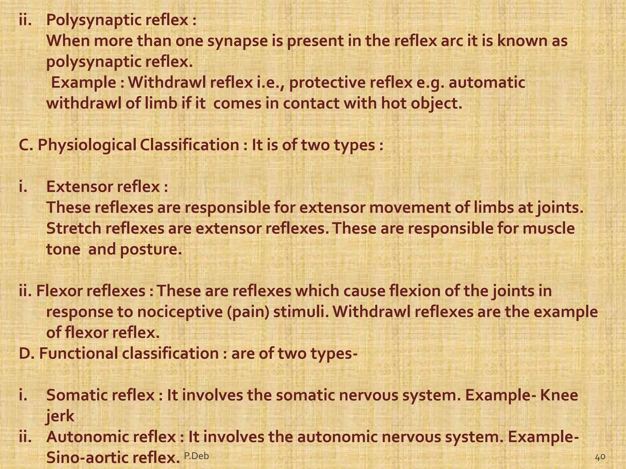 Nerve Muscle Physiology injury and regeneration | PPT
