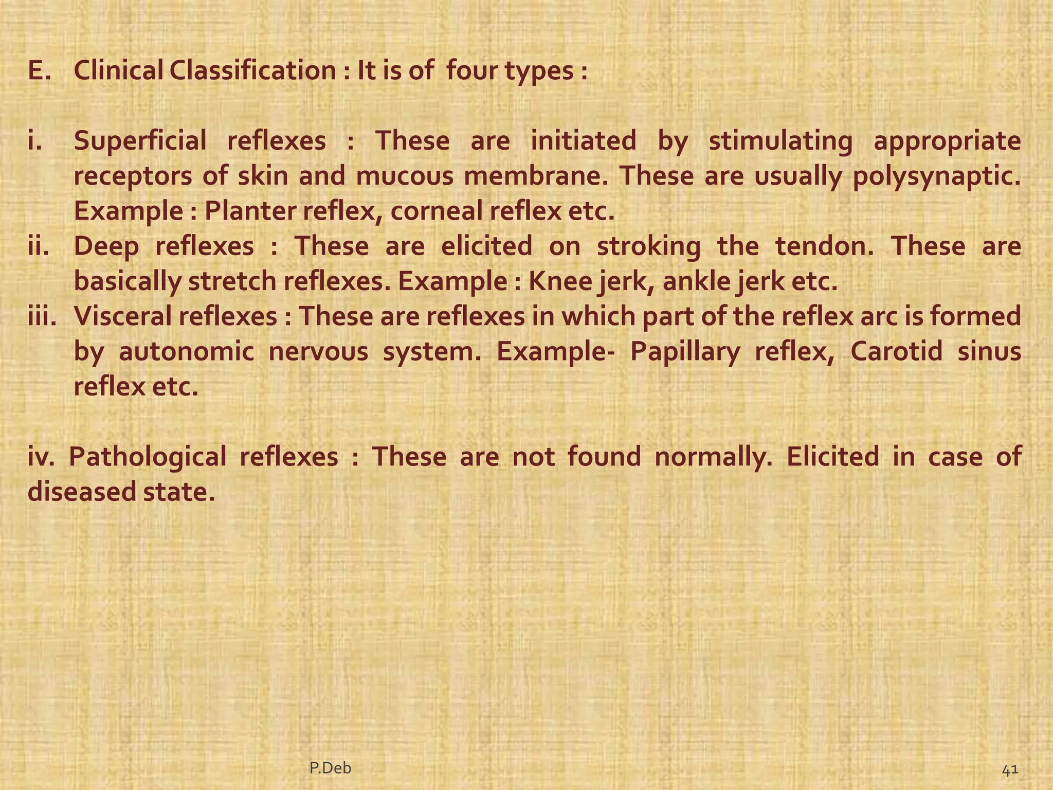 Nerve Muscle Physiology injury and regeneration | PPT