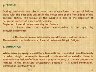 Nerve Muscle Physiology injury and regeneration | PPT