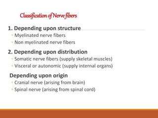 NERVE_MUSCLE_PHYSIOLOGY-PART 2.ppt