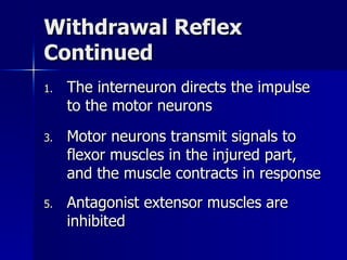 Nerve pathways | PPT