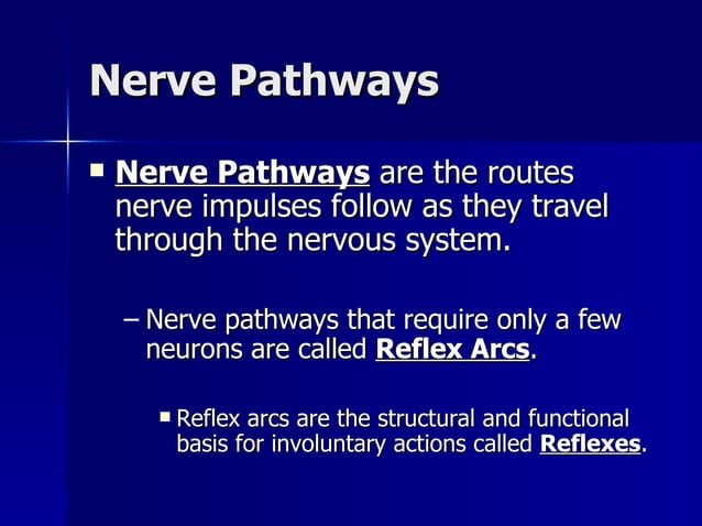 Nerve pathways | PPT | Death, Injury, or Military Conflict | Sensitive ...