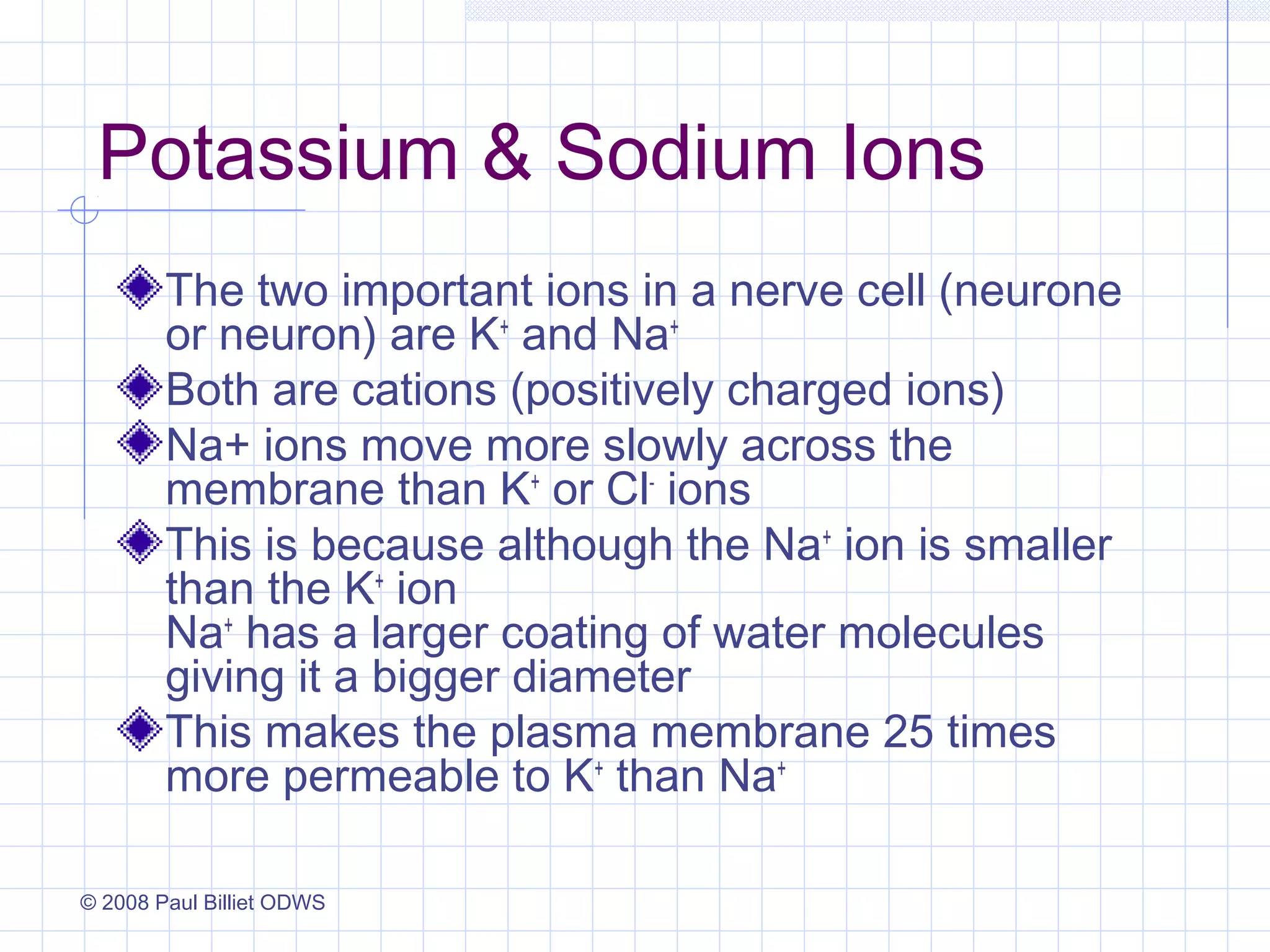 Nerve physiology | PPT