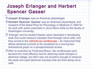 Nerve physiology | PPT