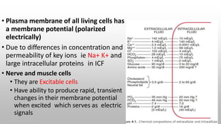 Nerve physiology | PPTX