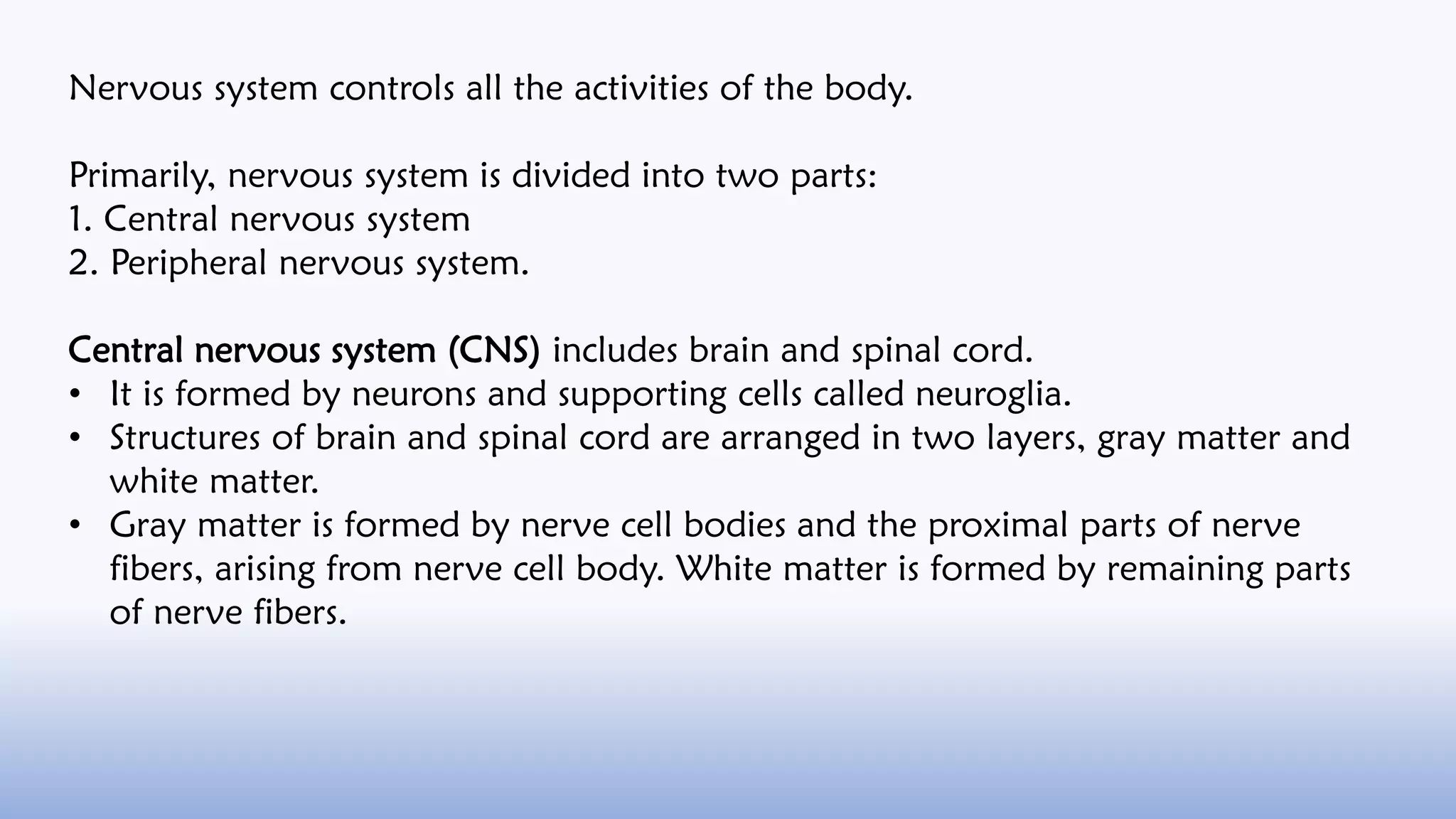 Nerve physiology | PDF
