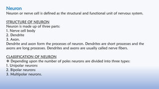 Nerve physiology | PDF