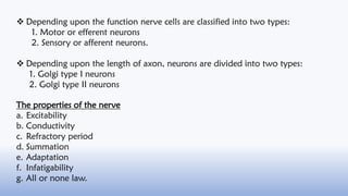 Nerve physiology | PDF