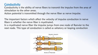 Nerve physiology | PDF