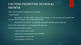 NERVE PHYSIOLOGY in physiotherapy....ppt