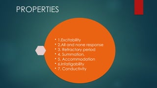 NERVE PHYSIOLOGY in physiotherapy....ppt