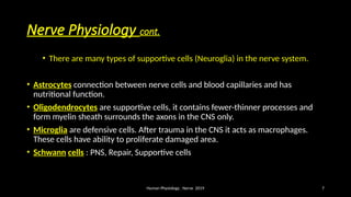 Nerve physiology and good explanation.pptx