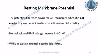 The Nerve Physiology - Membrane Potentials | PDF
