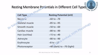 The Nerve Physiology - Membrane Potentials | PDF