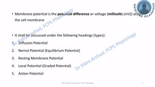 The Nerve Physiology - Membrane Potentials | PDF