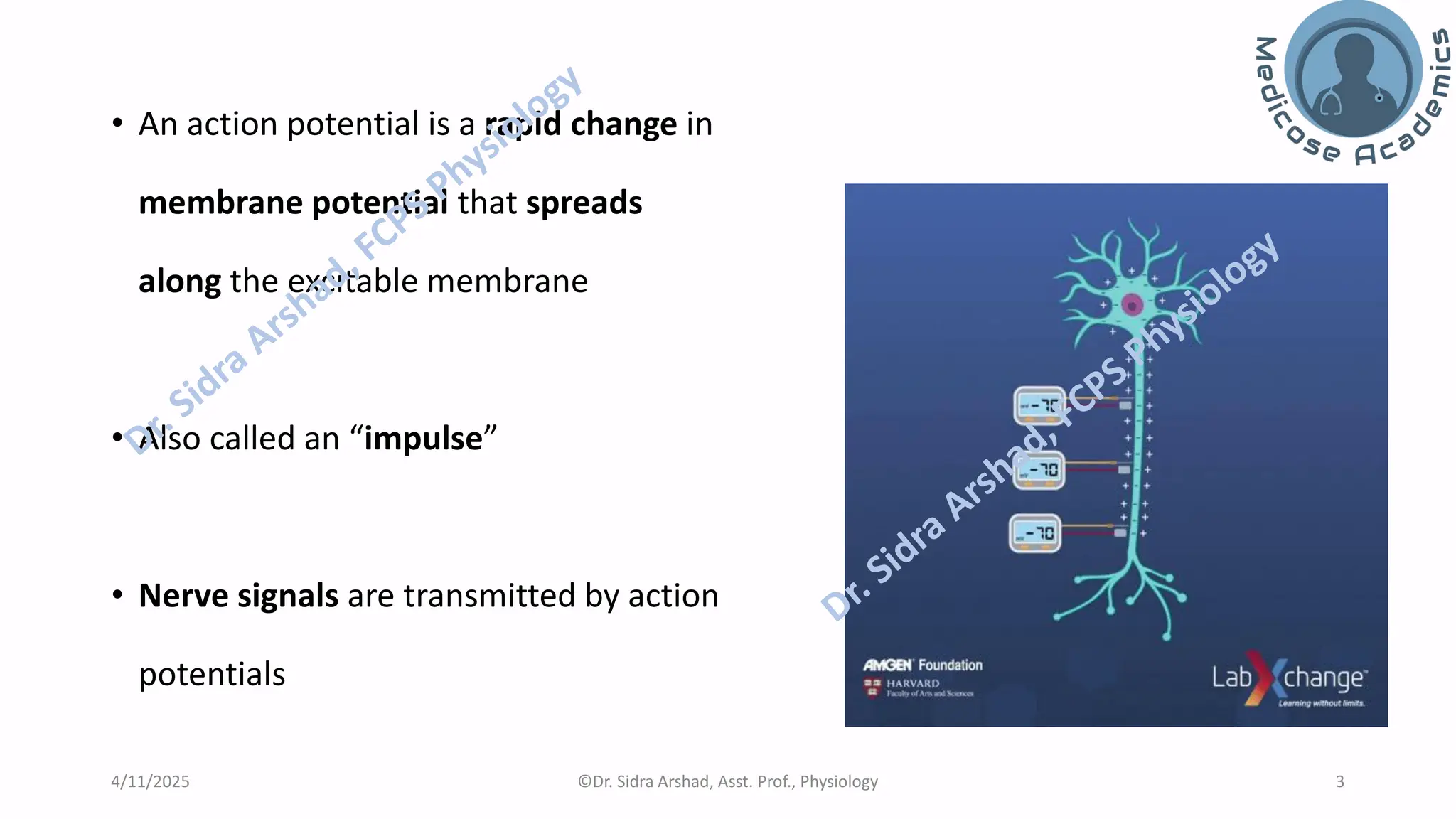 Nerve Physiology - Nerve Action Potential | PPT