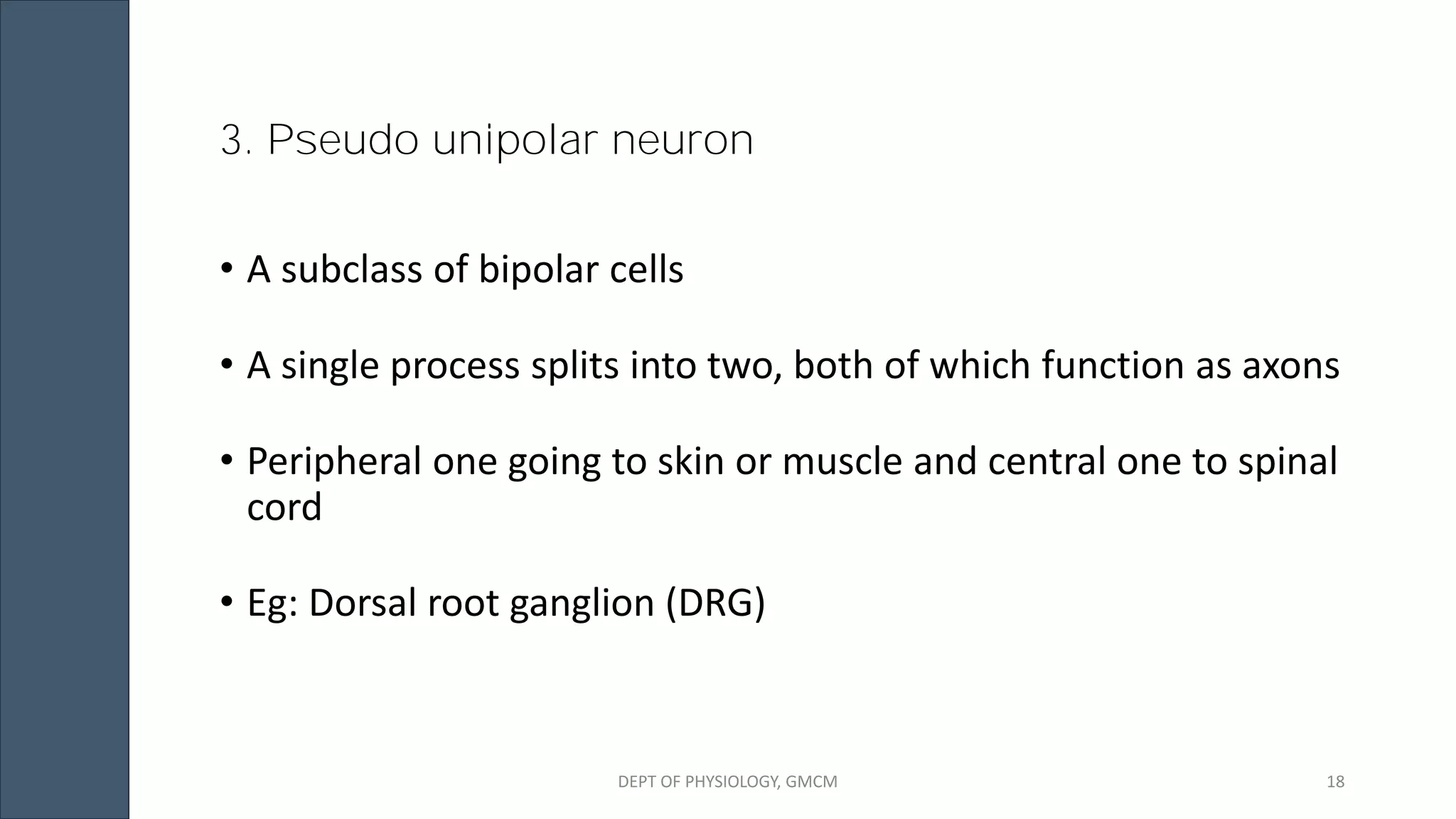 Nerve Physiology | PDF
