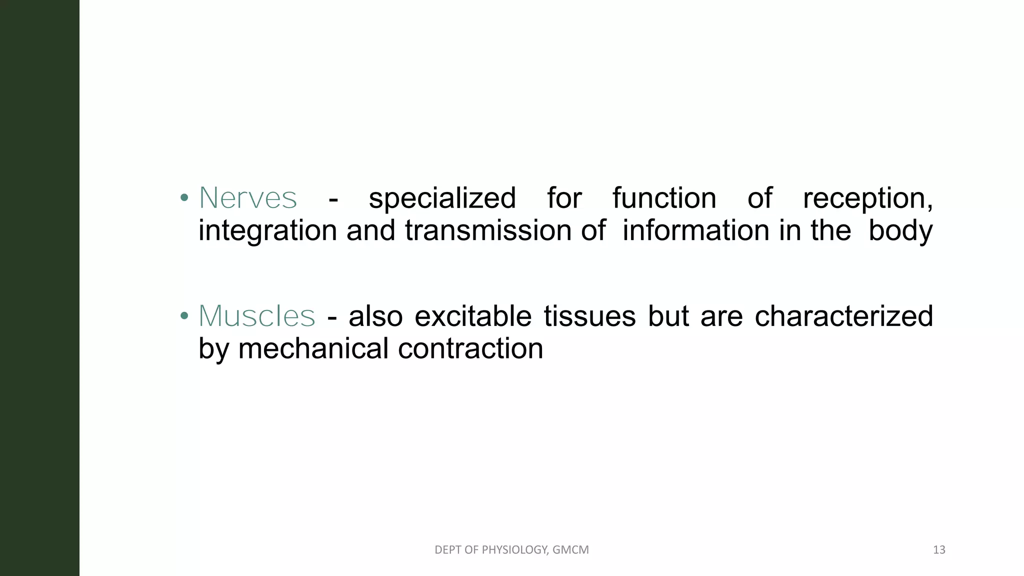 Nerve Physiology | PDF