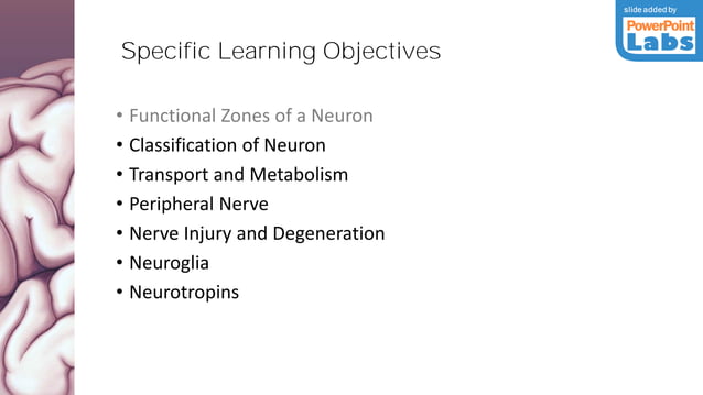 Nerve Physiology | PDF | Brain and Nervous System Disorders | Diseases ...