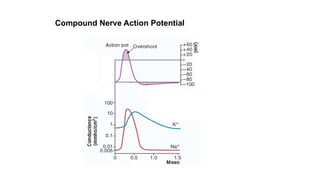 Nerve Potential & Properties of Nerve- DV.pptx