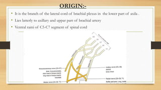 NERVE PPT.pptx
