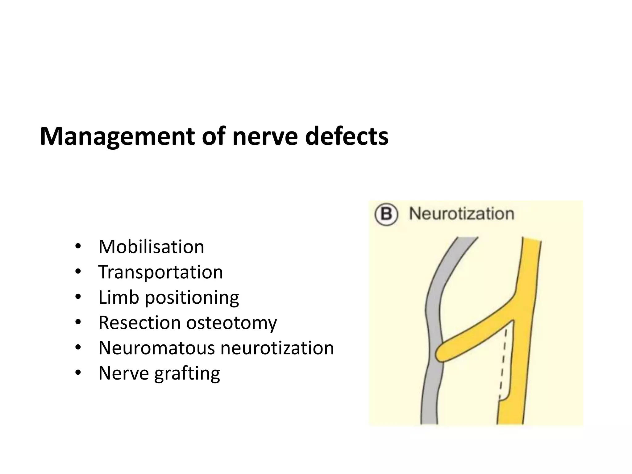 Nerve repair.pptx