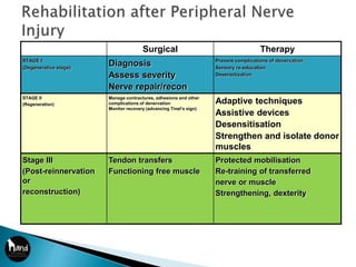 Nerve repair postop rehab | PPTX