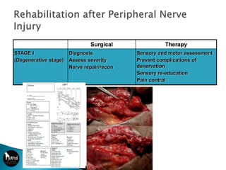Nerve repair postop rehab | PPTX